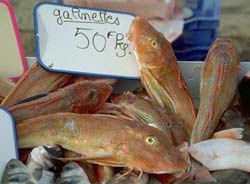 Seafood Dictionary, cooking and foods of Provence, by Provence Beyond